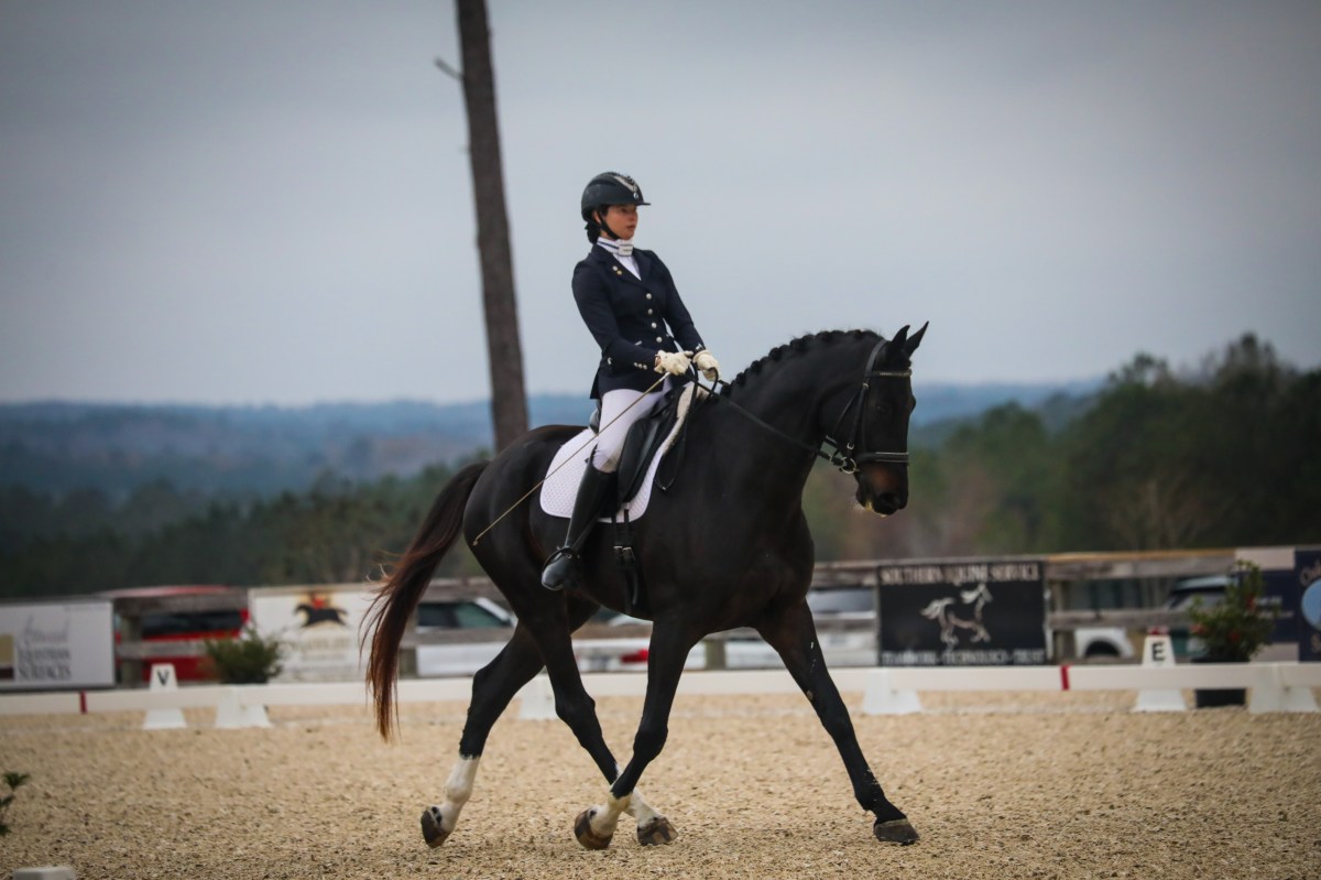 Winter Wonderland Dressage Show – Sharpe Dressage