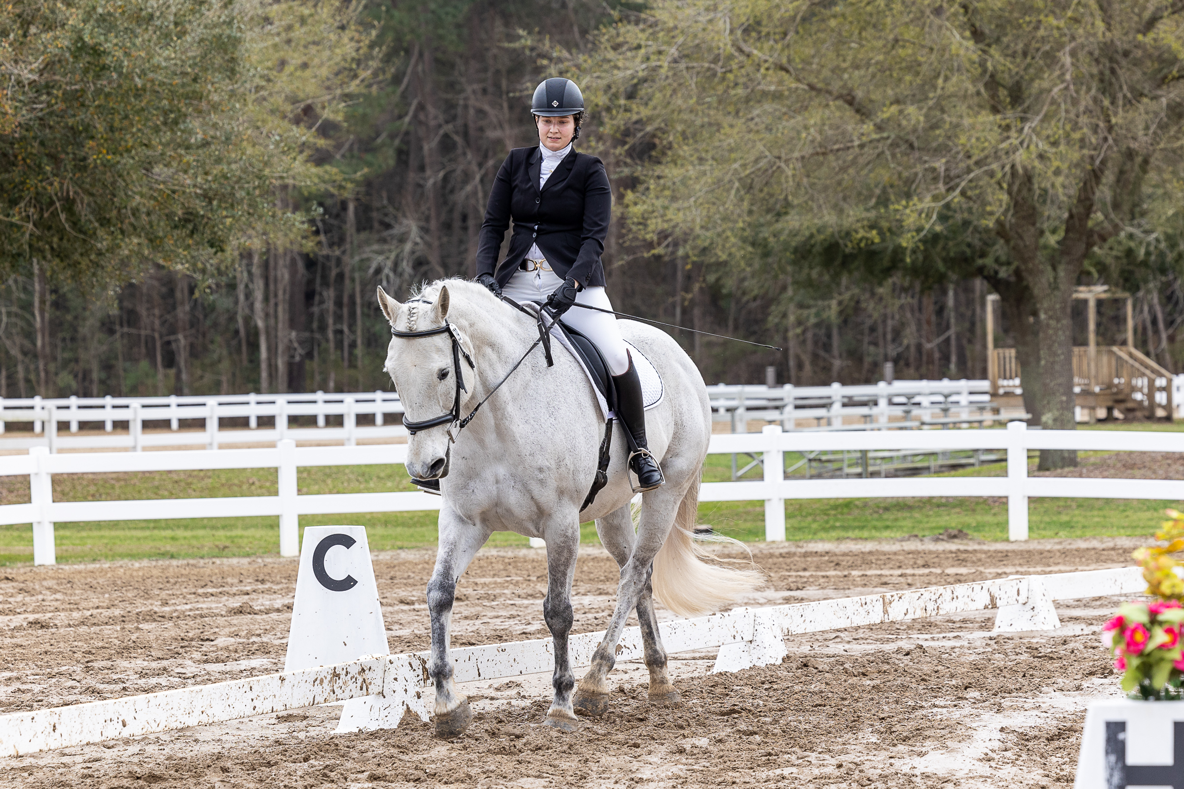 Lowcountry Classic – Sharpe Dressage